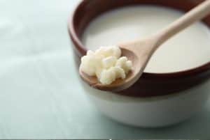 How to make soymilk kefir