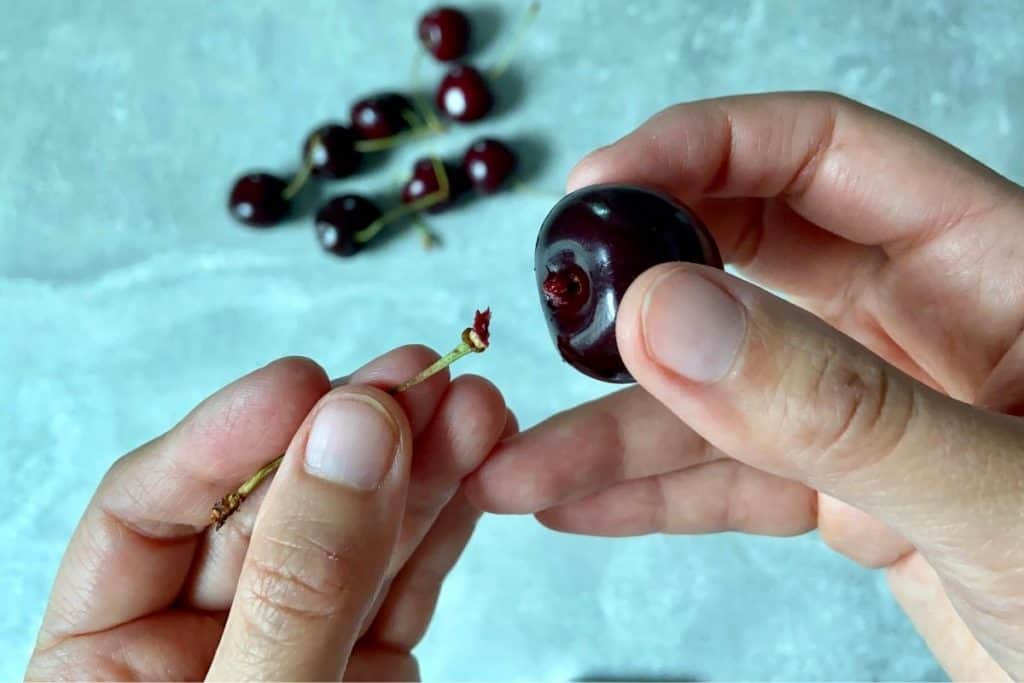 How to easily pit cherries without a pitter (VIDEO included)