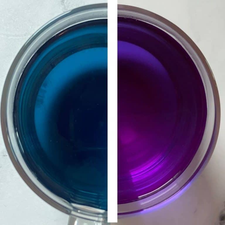 Purple Tea: Everything You Need to Know About It