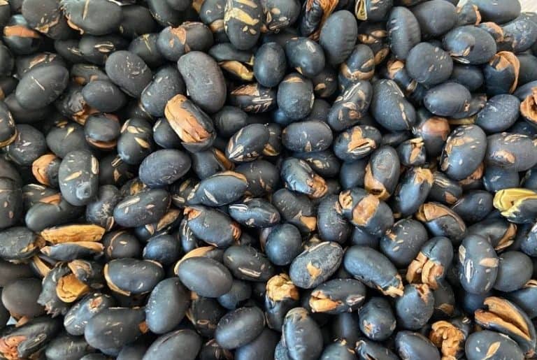 How to Make Kuromamecha (Black Soybean Tea) from Scratch