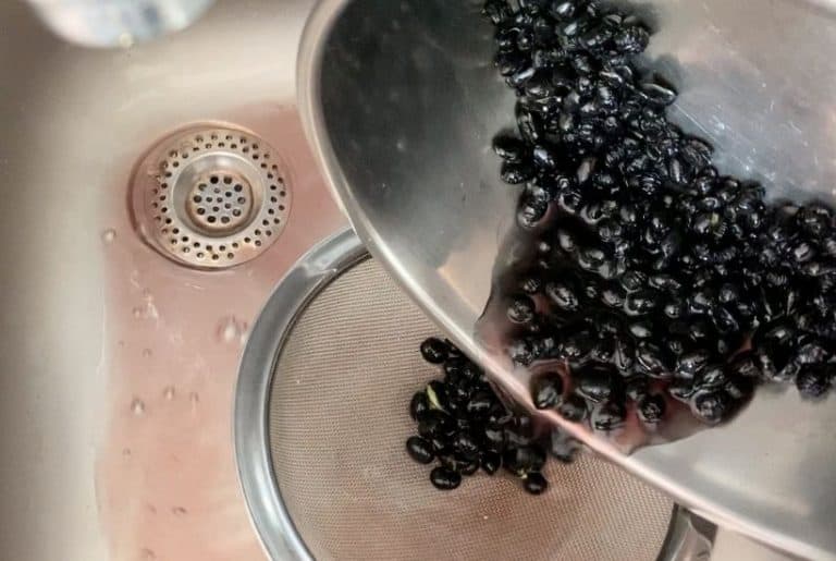 How to Make Kuromamecha (Black Soybean Tea) from Scratch