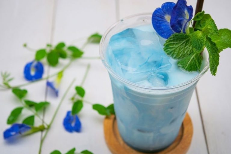 The Different Types of Milk Tea: a Guide for Beginners